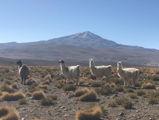 Climbing Uturuncu, Bolivia by bike - cycling data and info