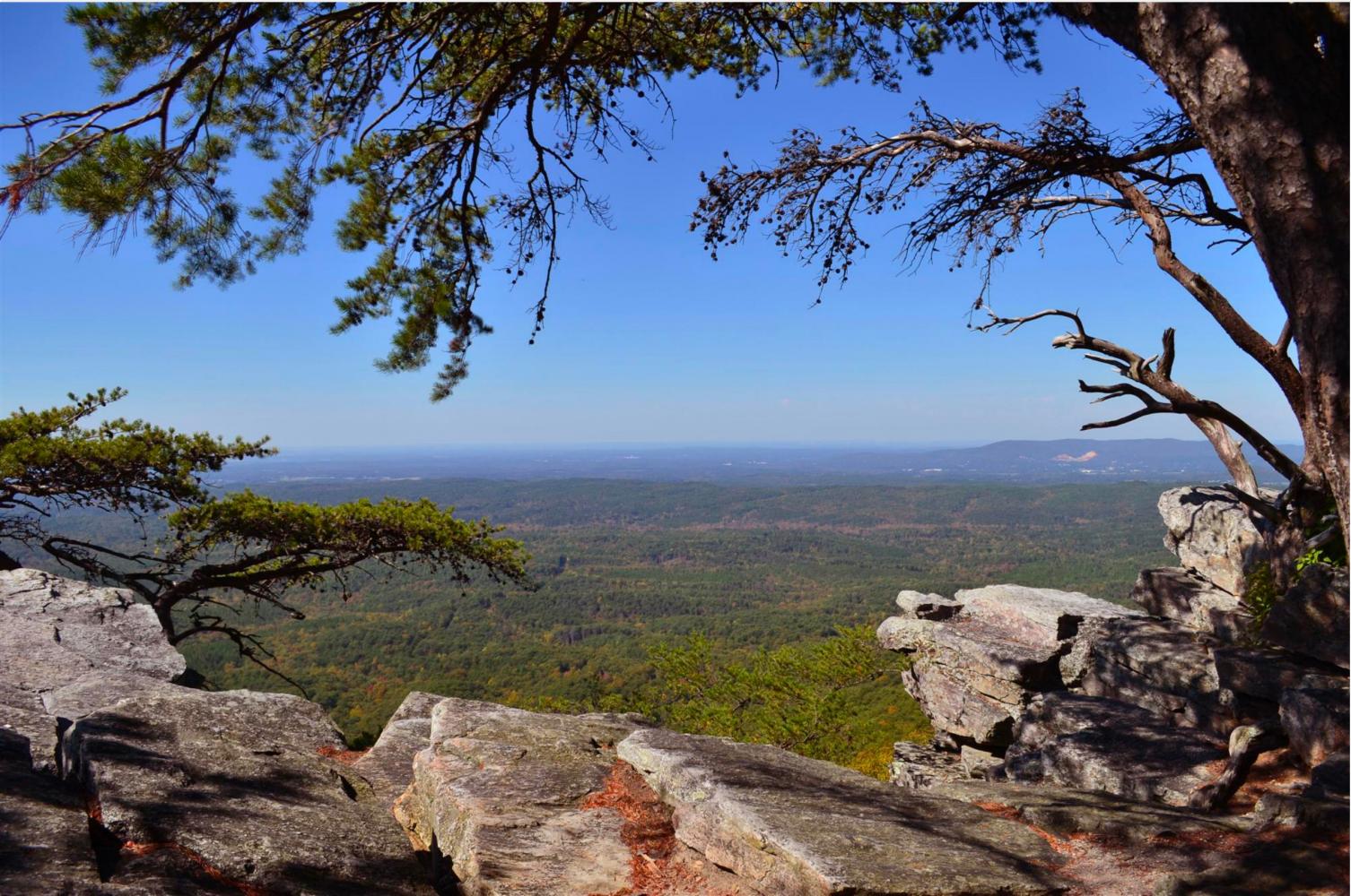 Climbing Mt. Cheaha East, AL by bike - cycling data and info